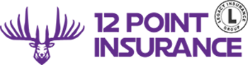Insurance Quotes | 12 Point Insurance